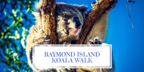 Australia - Wyld Family Travel