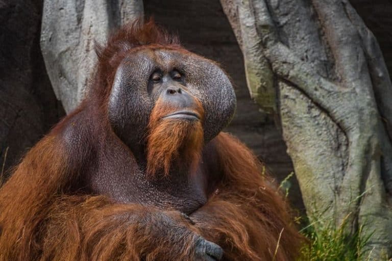 48 memorable things to do in Dublin with teenagers