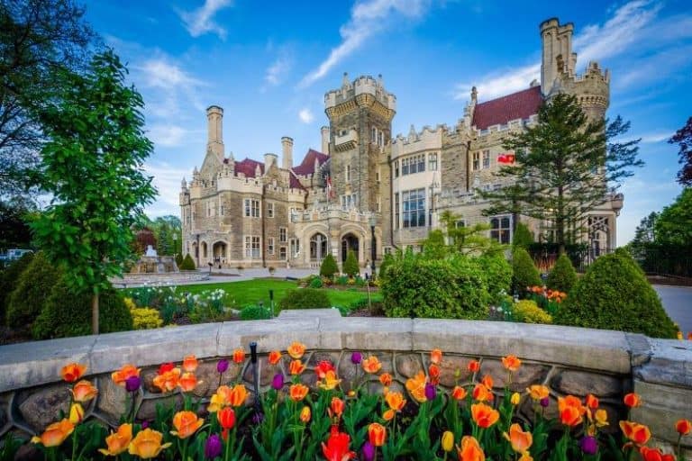 44 phenomenal things to do in Toronto with teenagers - Wyld Family Travel