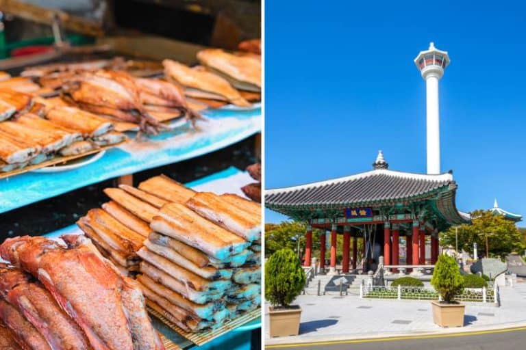 The 9 best cities for travel in Asia with teenagers - Wyld Family Travel