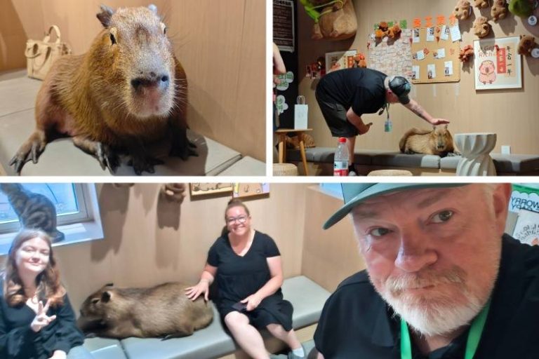 Capybara Cafe in Qingdao China - Wyld Family Travel
